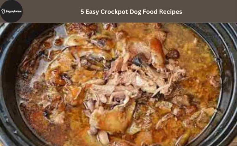 5 Easy Crockpot Dog Food Recipes | Meals Your Dog Will Love | Puppy Aware