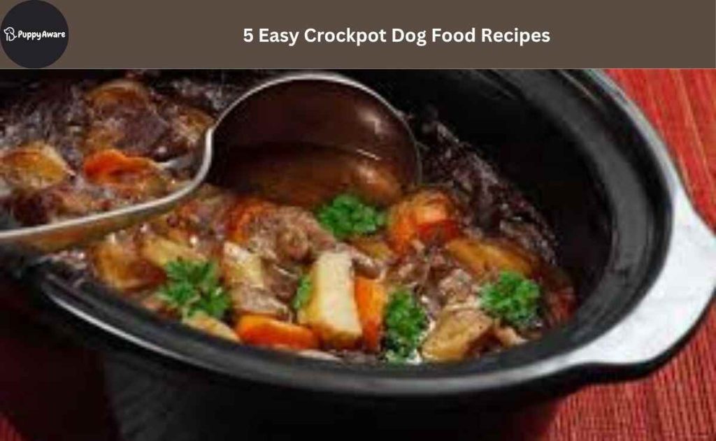 5 Easy Crockpot Dog Food Recipes | Meals Your Dog Will Love | Puppy Aware