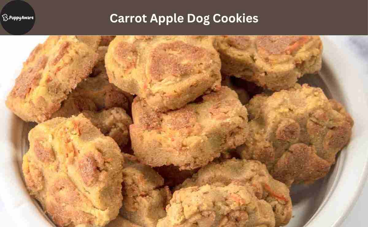 Carrot Apple Dog Cookies - Energy Booster Dog Treat | Puppy Aware